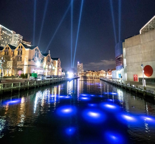 Syncrolites - Image Engineering