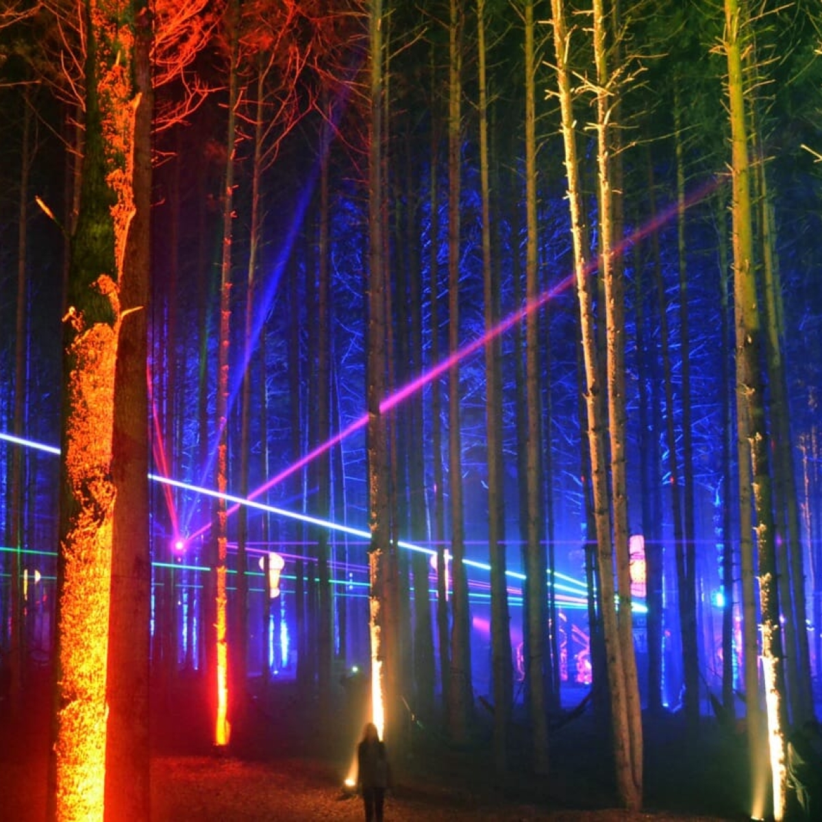 Electric Forest - Image Engineering