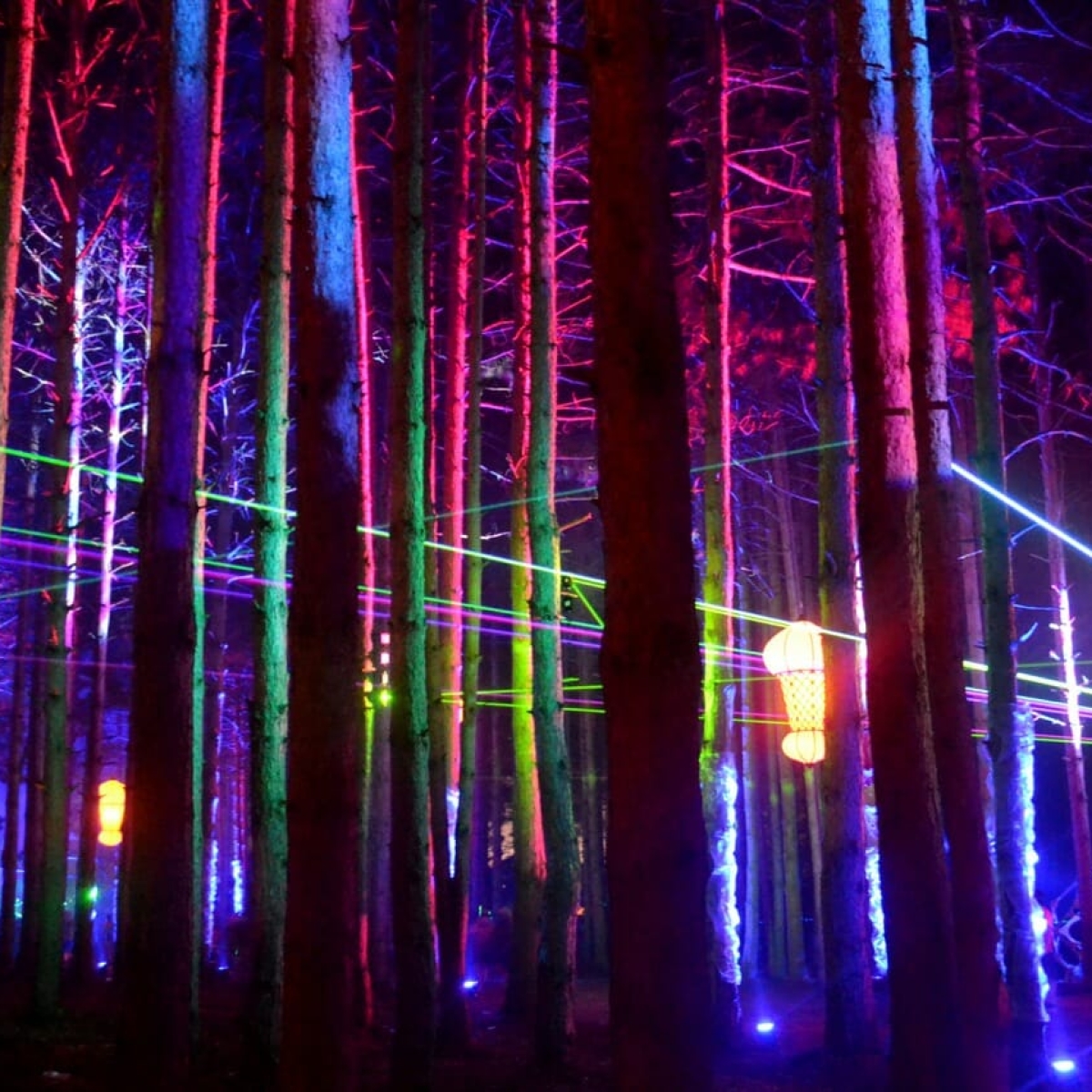 Electric Forest - Image Engineering