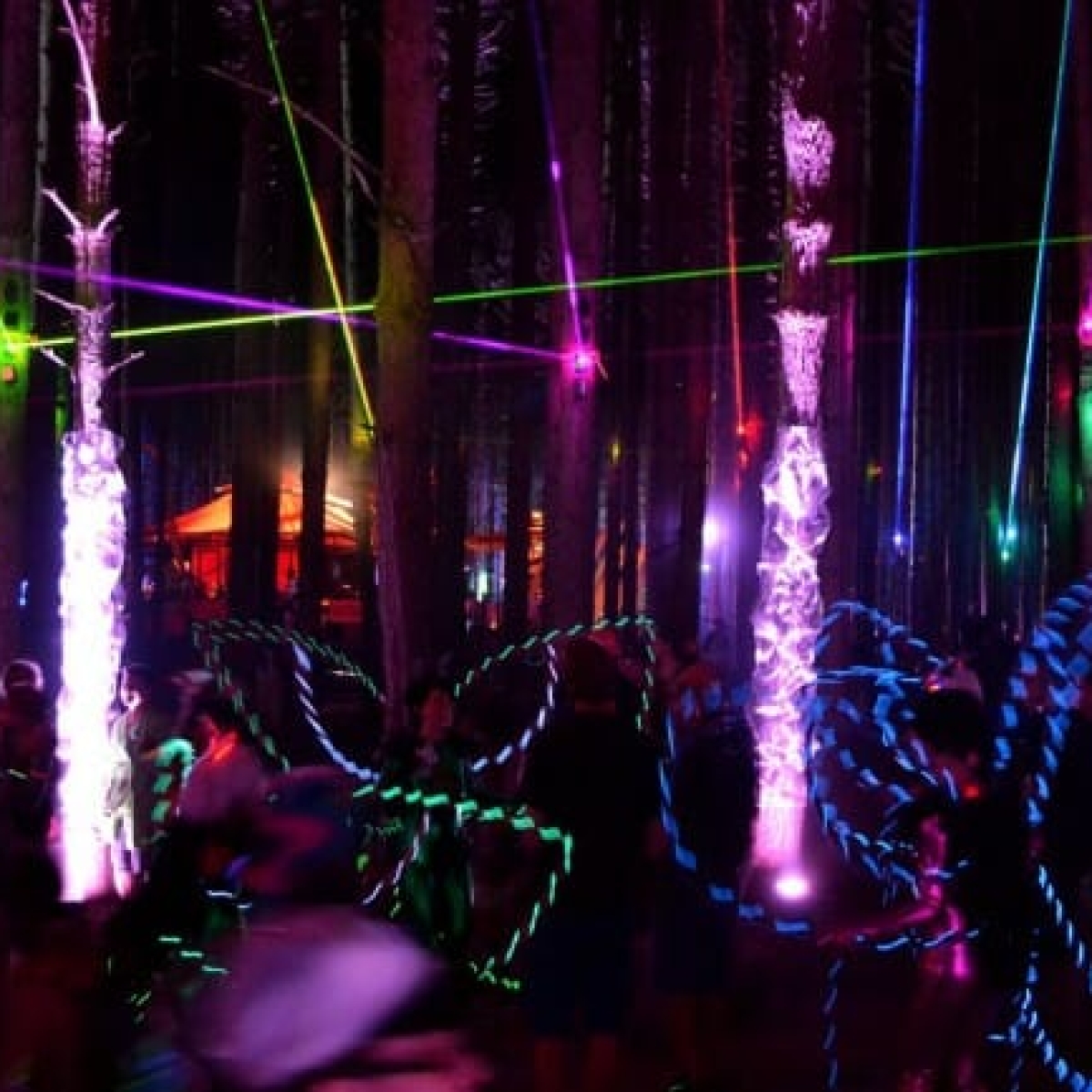 Electric Forest - Image Engineering