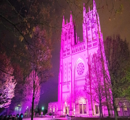 Syncrolites - Image Engineering