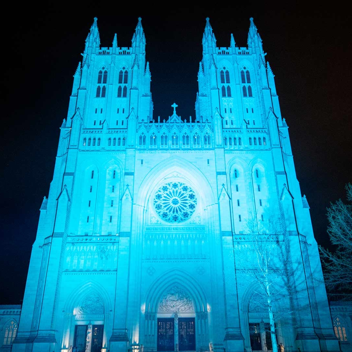 National Cathedral - Image Engineering